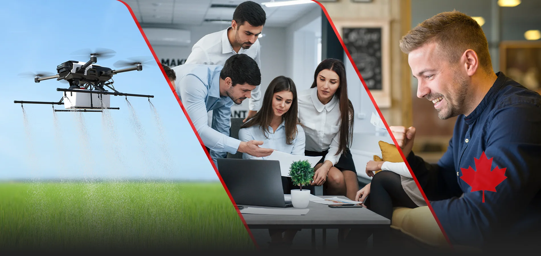 Canada Digital Adoption Program - Ottawa CDAP Assistance